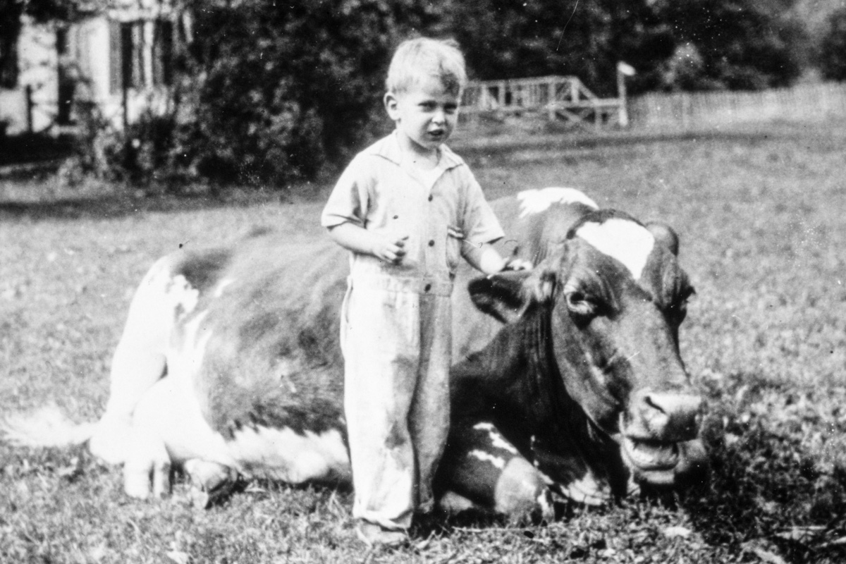 Gallery One: History, The Farm, Brothers – Speaking of Fred Sachs