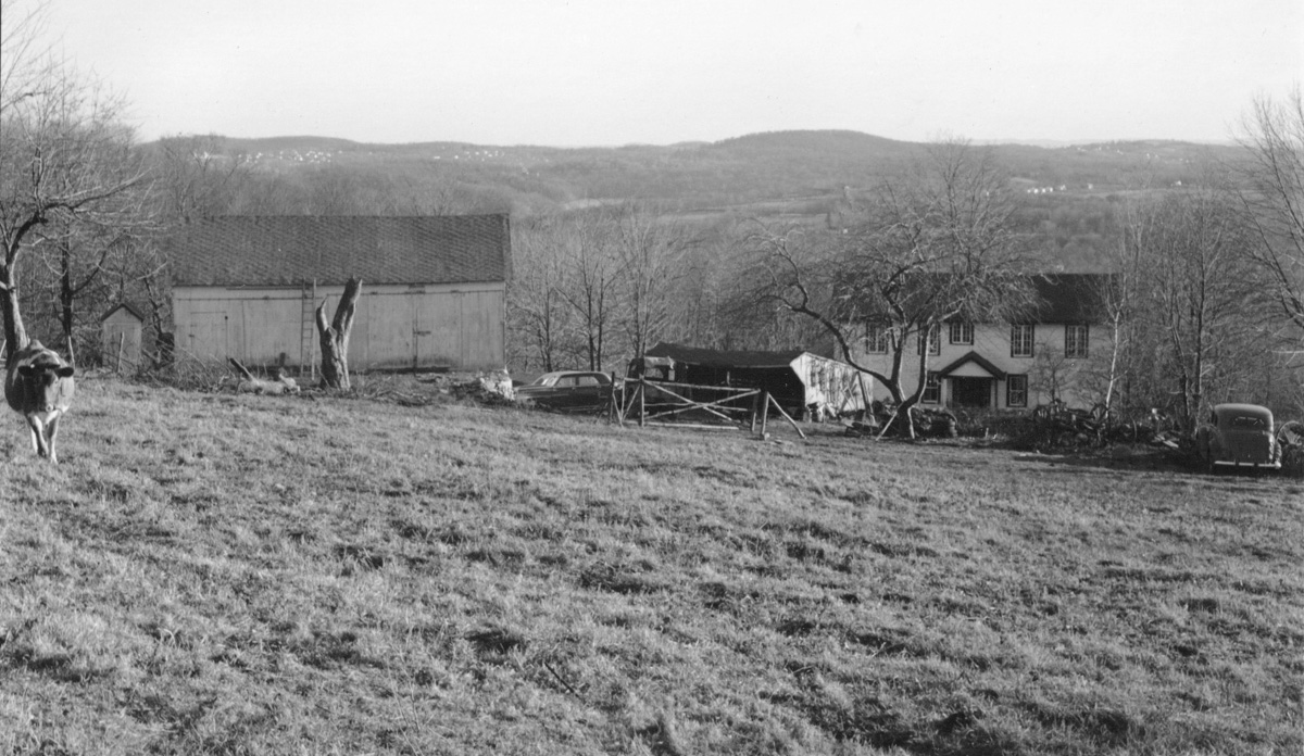 Gallery One: History, The Farm, Brothers – Speaking of Fred Sachs